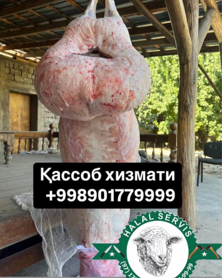 Эҳсон ва Ақиқа учун қўйлар, қассоб хизмати