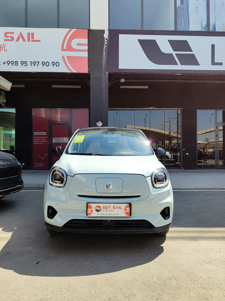 Leapmotor T03 Full