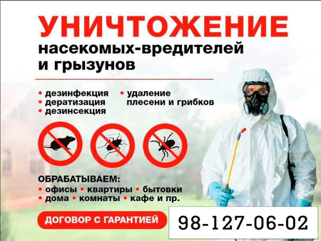 Дезинфекция от клопов 3 года гарантия | дезинфекция dezinfeksiya