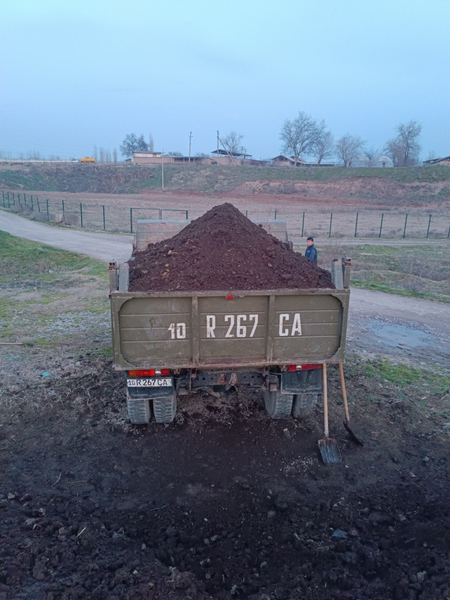 ЗИЛ хизматлари арзон нархда