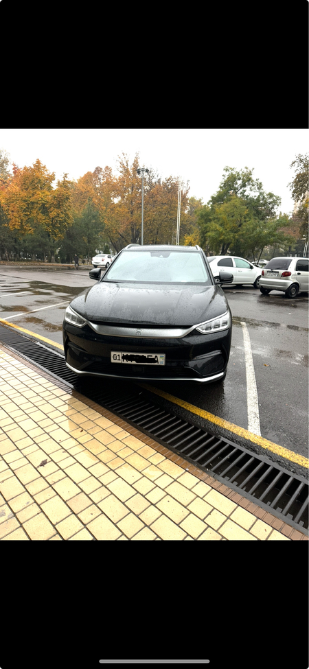 BYD flagship