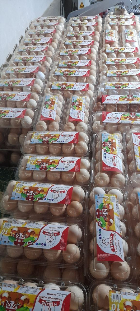 Optom tuxum yetkazib berish. Sifat biz uchun Muxim