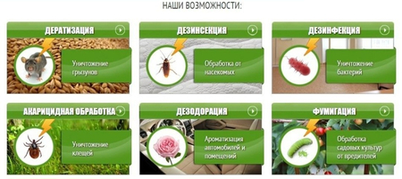 Дезинфекция 24/7