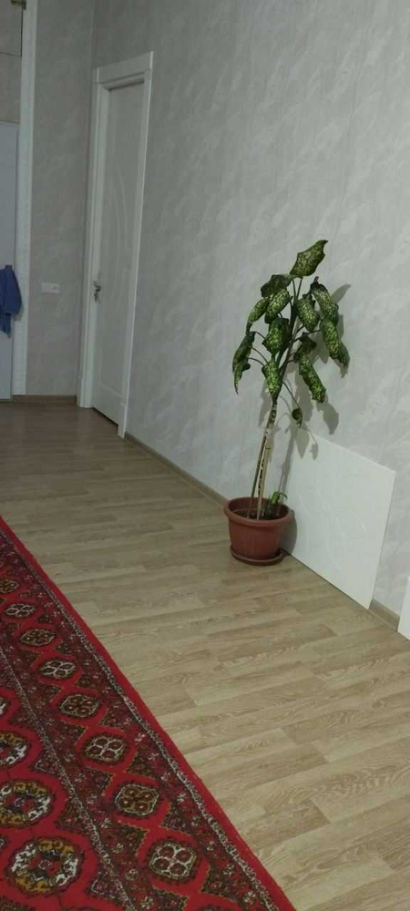 Уй ижарага берилади