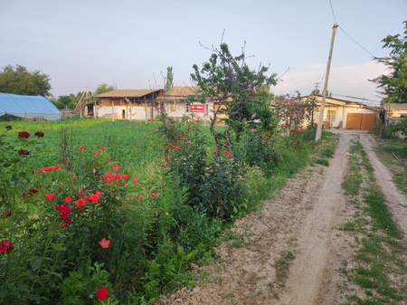 Uy sotiladi Toshkent viloyati boka tumani buka
