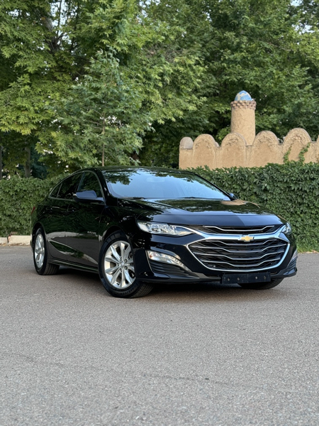 Malibu 2 primier