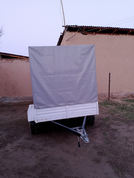 Prtsep sotlad xolati yaxwi