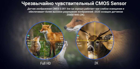 Цифровой прицел ночного видения PARD DS35-70 LRF (940nm)
