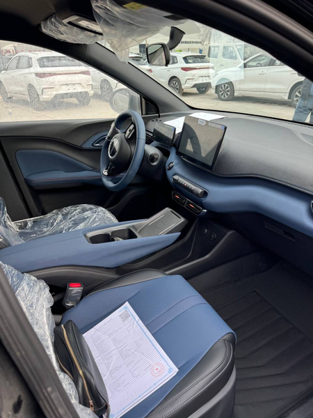 BYD SEAGULL Full 2024 Наличи