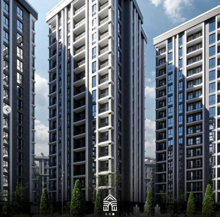 Golden Hills - 