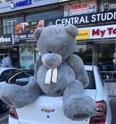 TEDDY 1+1 Teddi Optom Narx