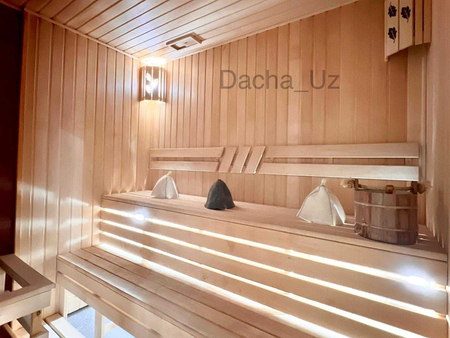 DACHA_UZ   Platinum  (B 001 )