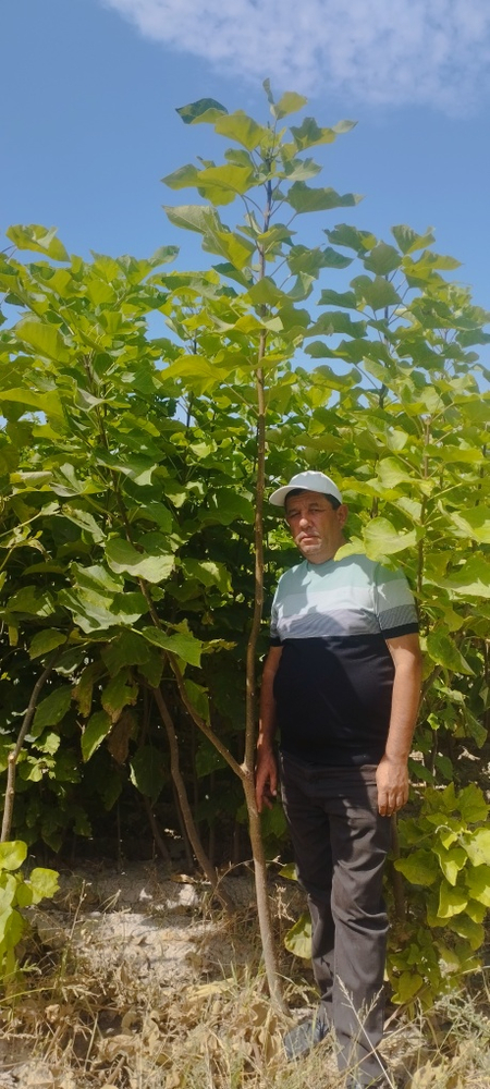 Qayragʻoch  (Гужум) кайрагоч