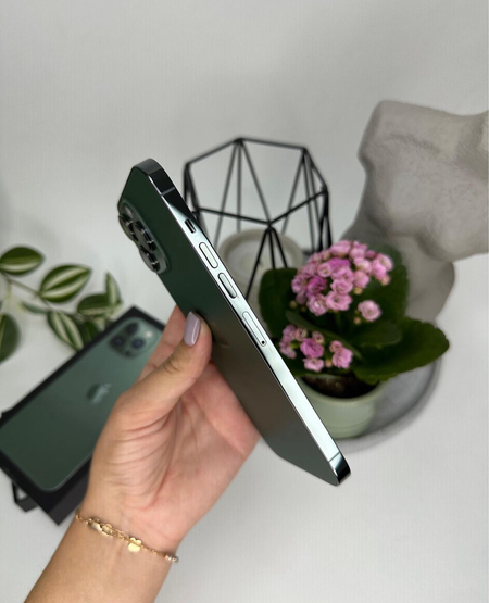 iPhone 13 Pro Max 88% Battery Green