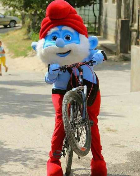 Ayiqlar sotiladi