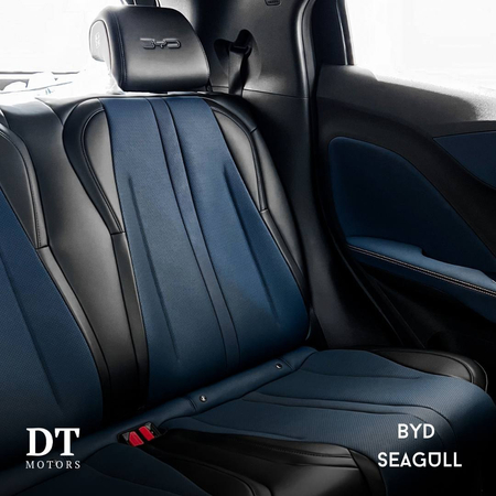 BYD Seagul 405 km li 2024 yil
