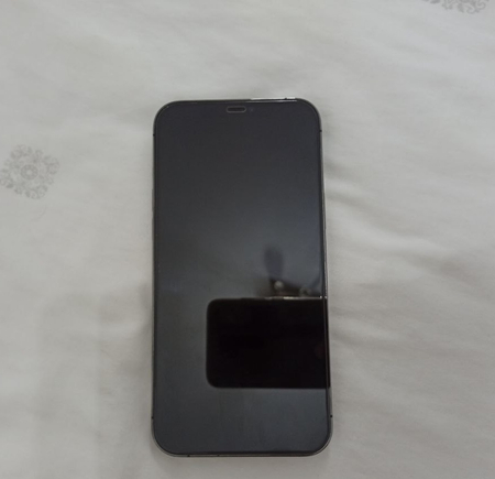 iPhone 12 Pro Max 256gb LLA  «2 IMEI»