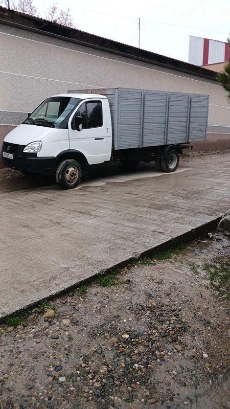 Бартовой газел .