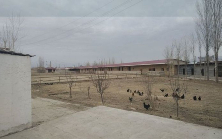 Кибрай Производственный объект 3.25 гектар.