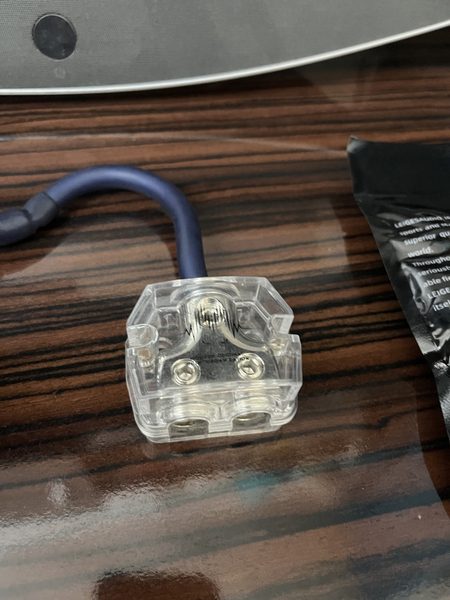 Тюльпаны rca