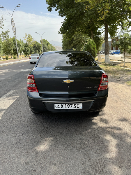COBALT-4  A/T 2024
