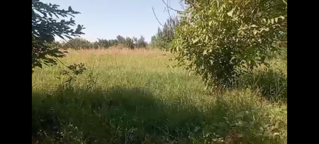6-сотих ер участка сотилади