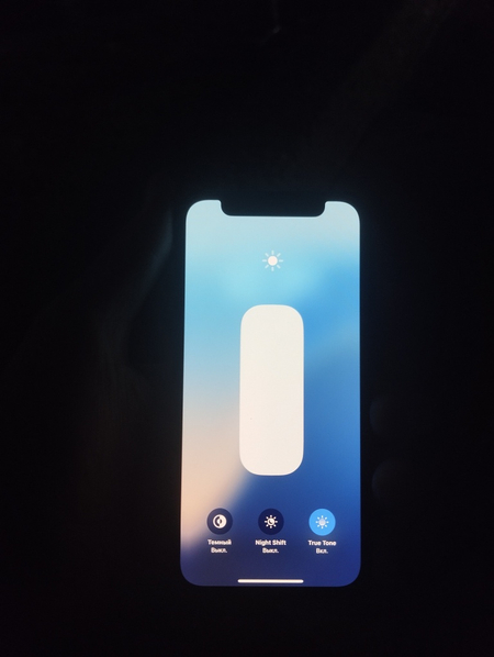 iPhone 12 mini ideal