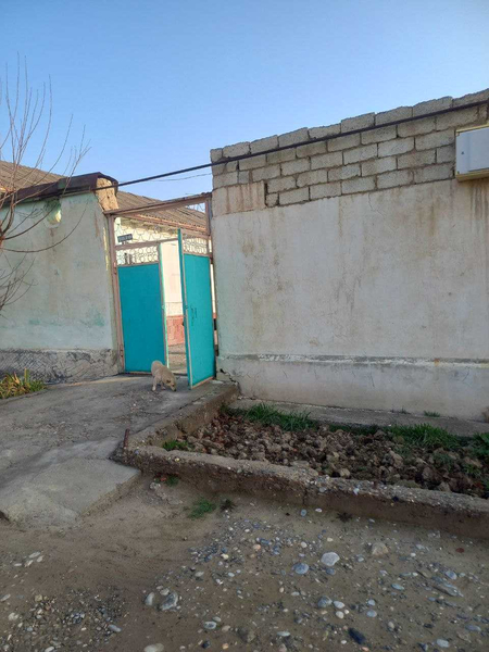 Ховли сотилади Шахрисабз шахри