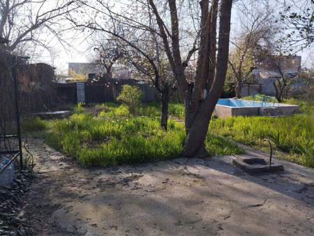 Дача в Паркенте, Нилюфар