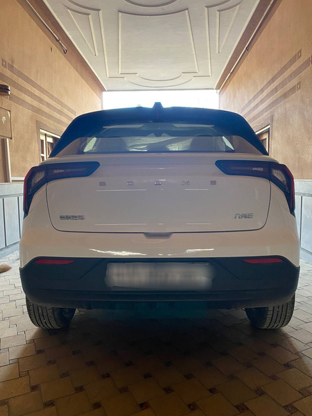 Geely Geometry E