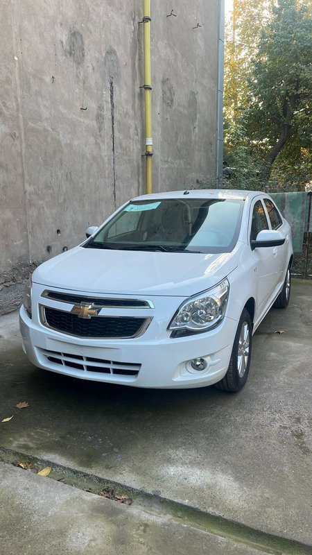 Cobalt bez probeg 2024/25 Abs diska mafoni bor