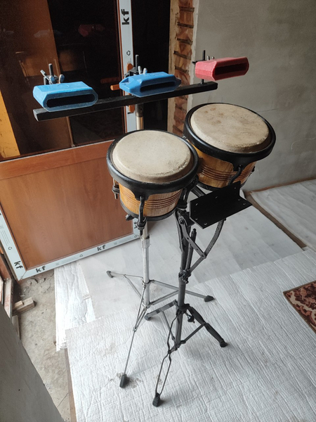 Bongi.covbel original