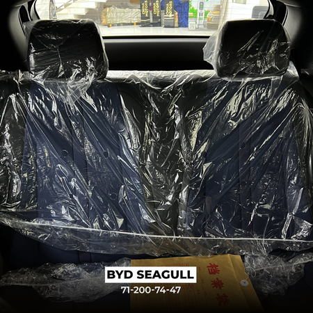 Byd seagull full