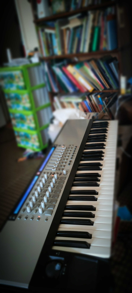 NOVATION, Профессиональный Midi controller (клавиатура), reMOTE 61 SL