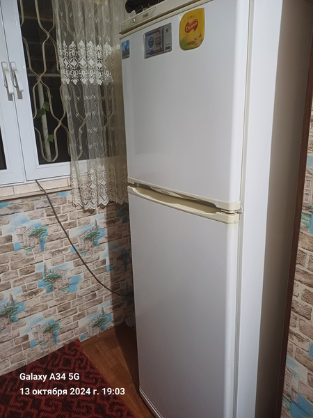 Халадиник,2,кам,стинол