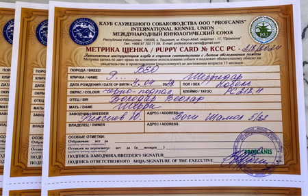 Восточно Европейские овчарки