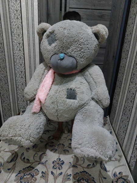 Teddiy yangi ayiqcha