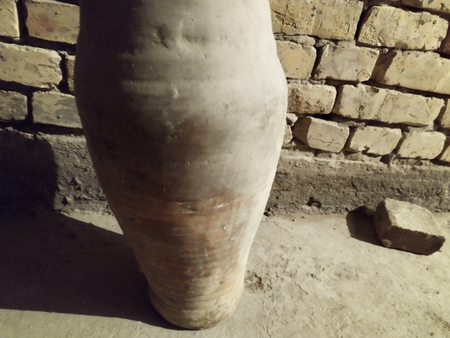 Qadimgi koza sotiladi