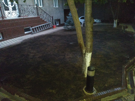 Gazon ekish xizmati