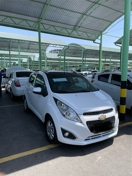 Spark 2022 oq 28.000 ozimiki
