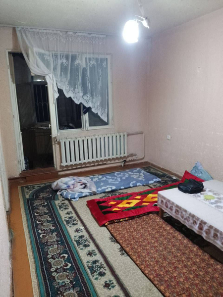 Массив Феруза 2/4/4