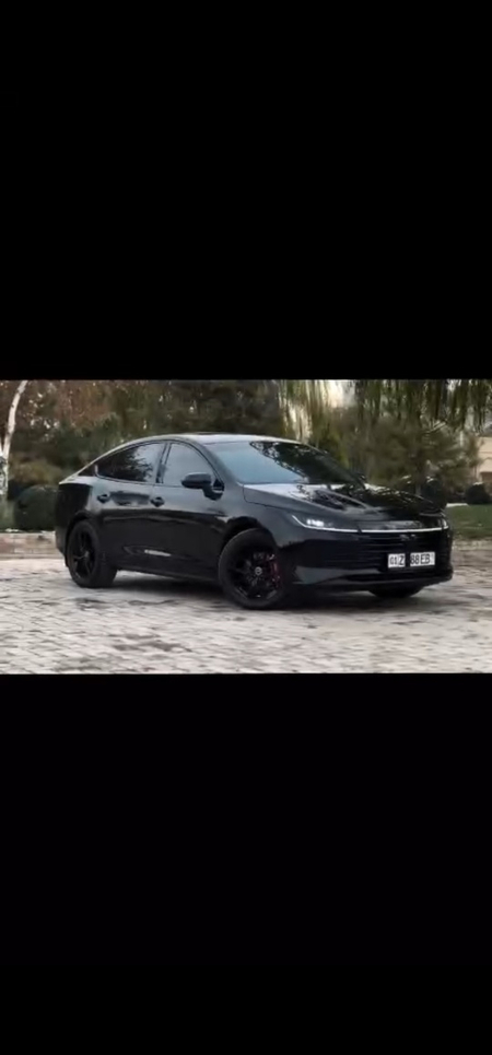 BYD chazor flagship 120 km.