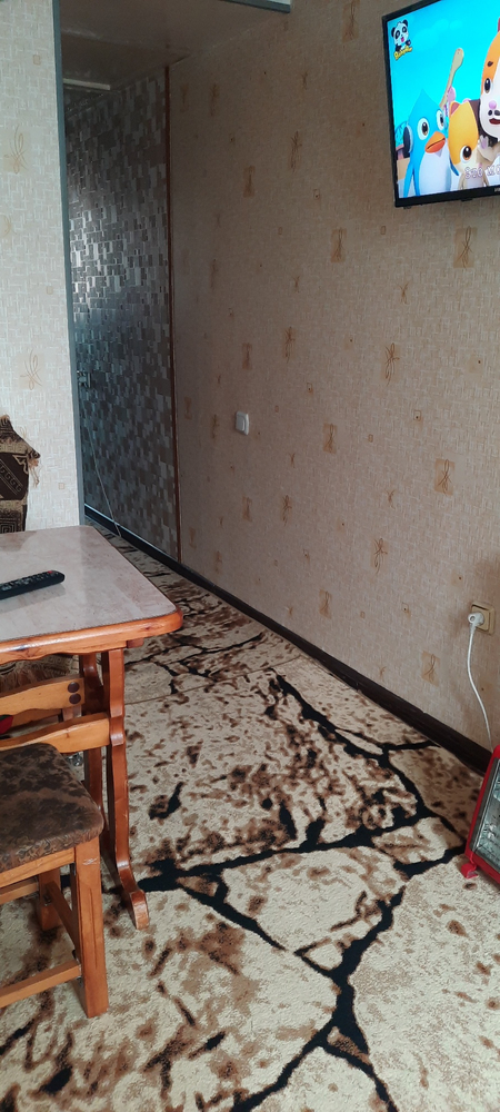 Каракамыш2/4 кирпич3/2/4 Базар