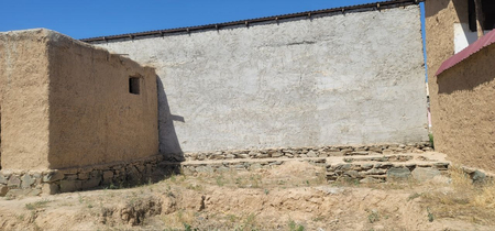 Hovli Farhod savhozi poytaxt koʼchasida