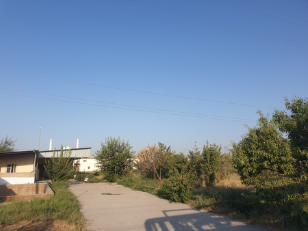 Sirdaryo shaharda 60 sotxli ferma sotiladi