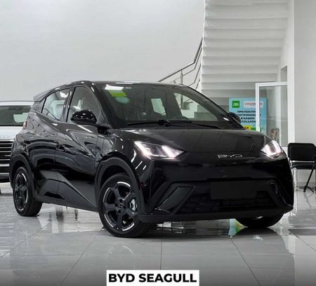 BYD seagull eng qulay elektromobil
