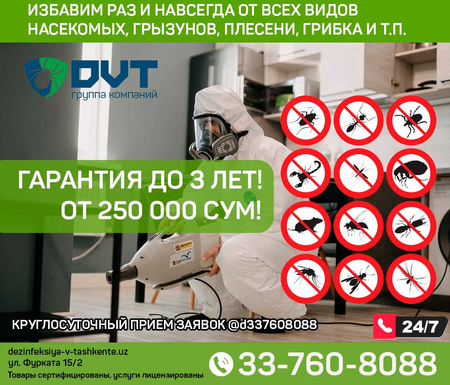 Без запаха Дезинфекция dezinfeksiya dizinfeksiya klapa klop tarakan