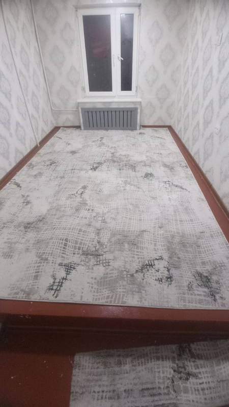 Algoritmdan qizlarga arenda