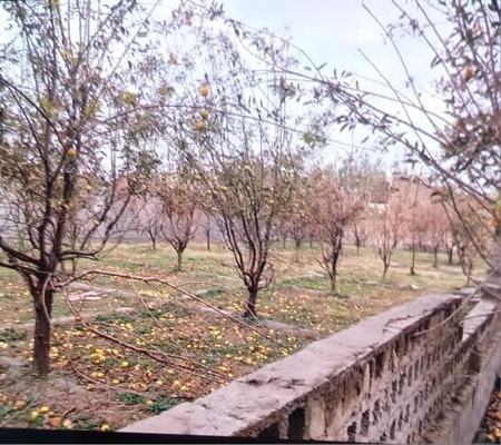 Продаётся сад 20 соток Адрес пулимигоб 1