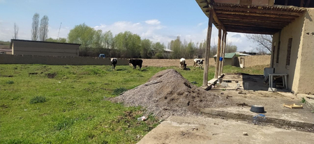 Участка сотилади 50 сотх